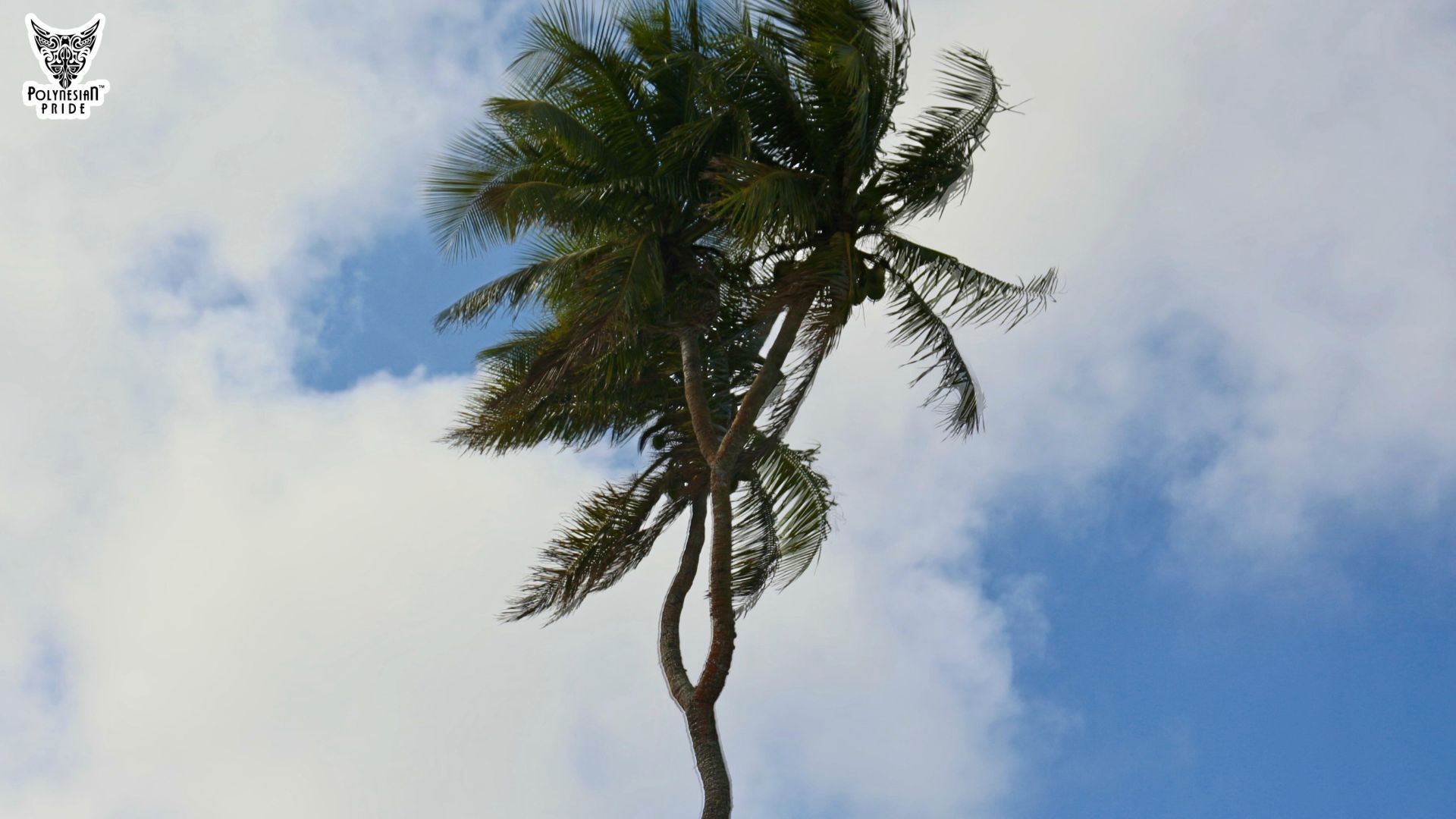 20 Facts About Tonga: Discovering the Heart of Polynesia