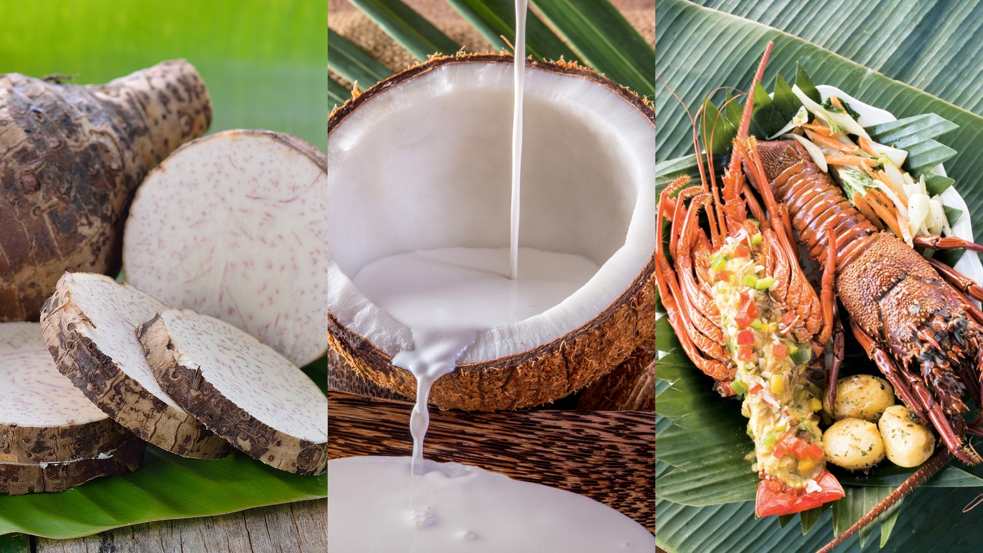 Culture Of Samoa: Exploring The Colorful Heritage of Samoa