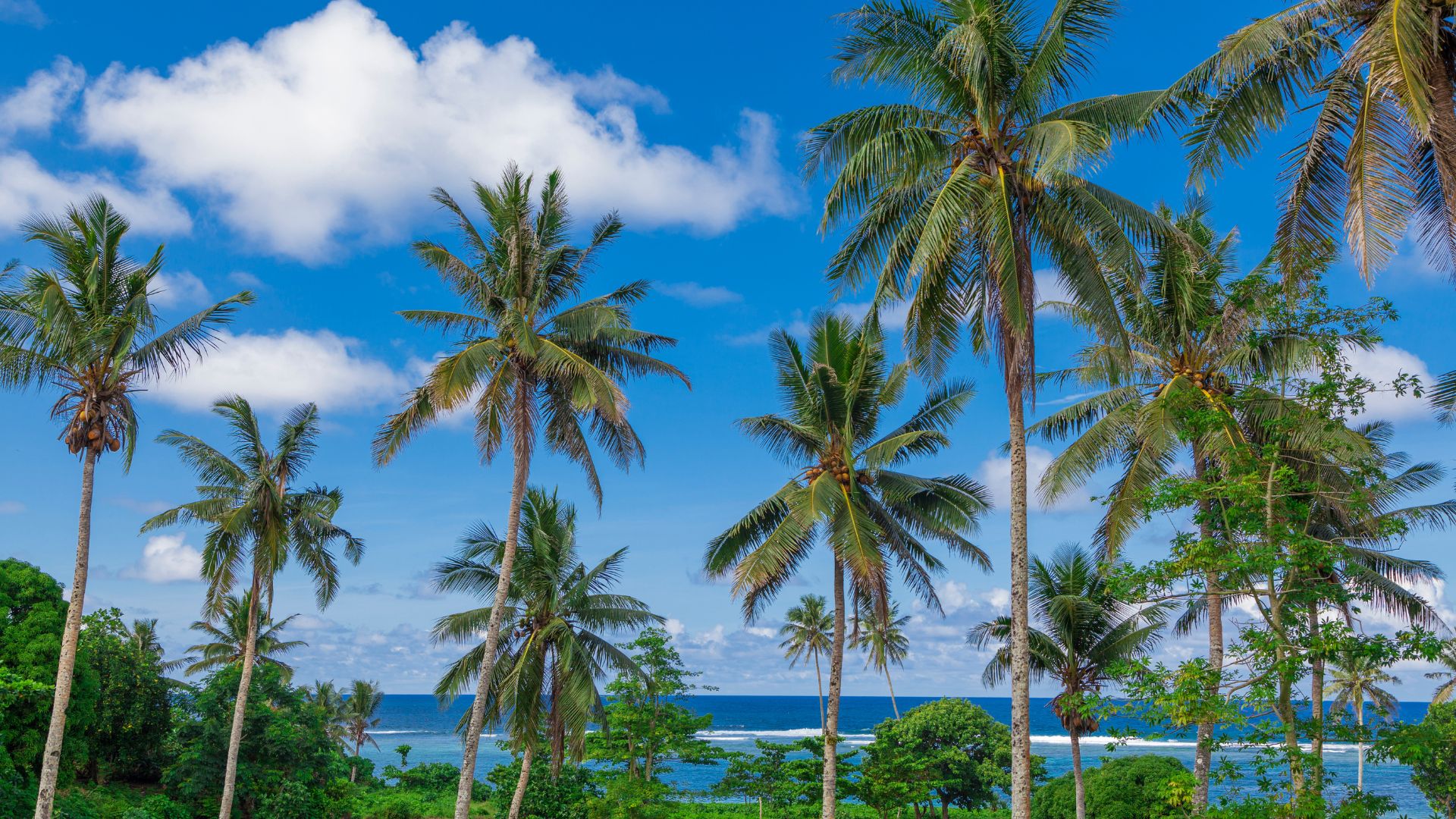 Samoa Culture Facts: 17 Things That Make You Mind-Blowing