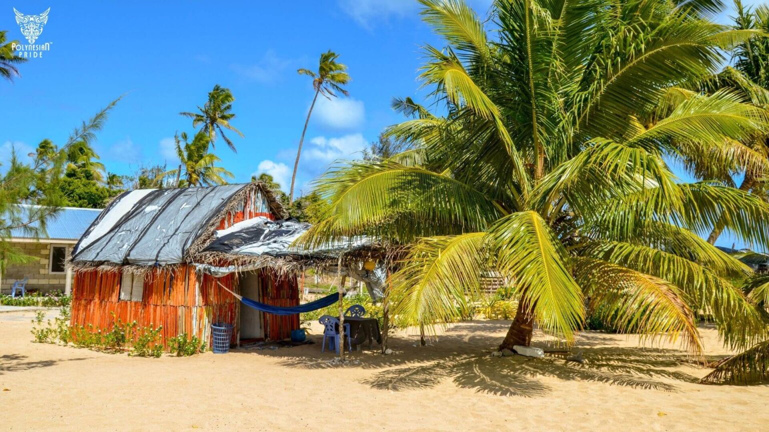 What is Tonga known for? Top 15 Reasons to Visit This Island