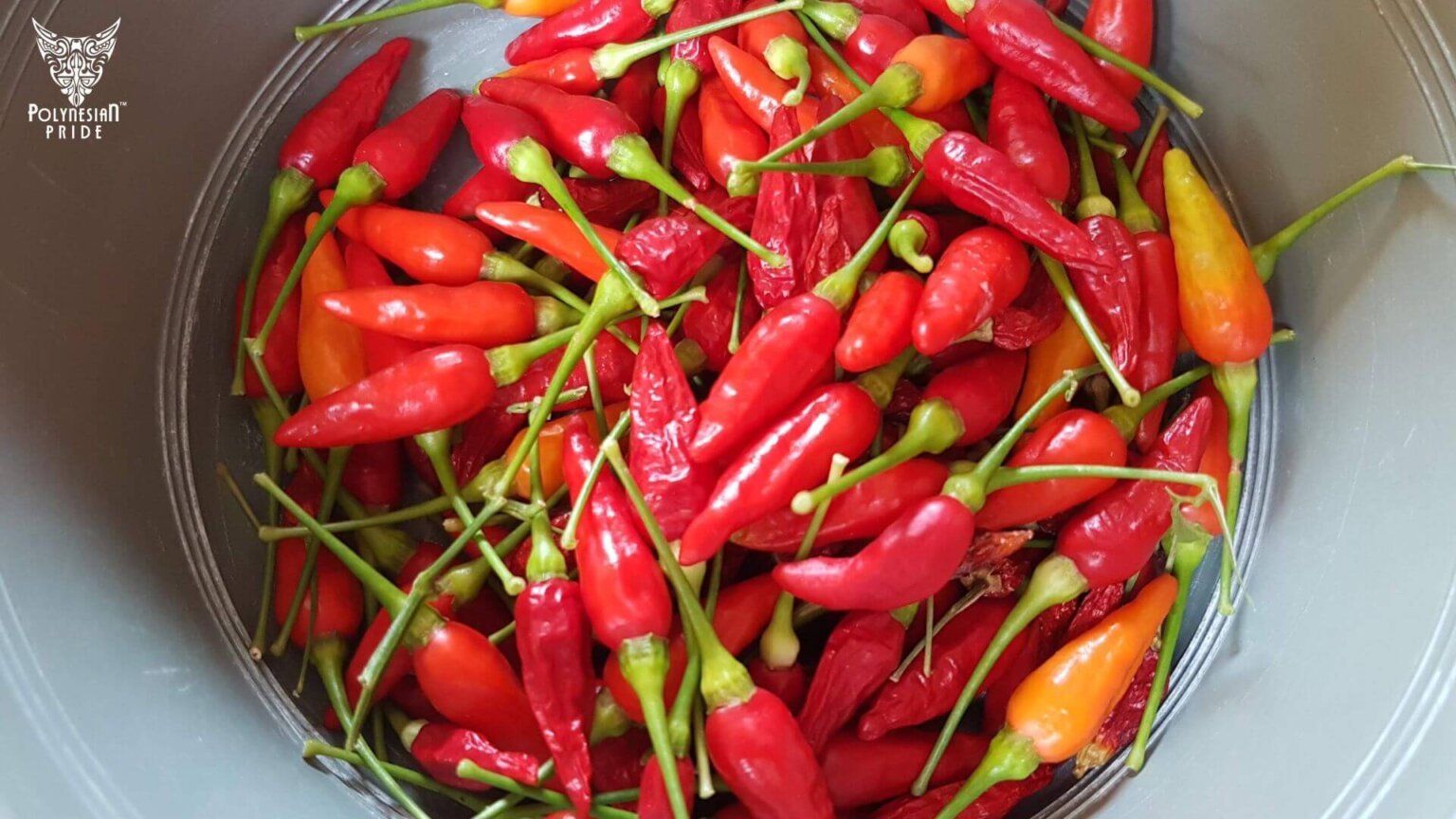 Federated States of Micronesia Food: Top 10 Best Dishes