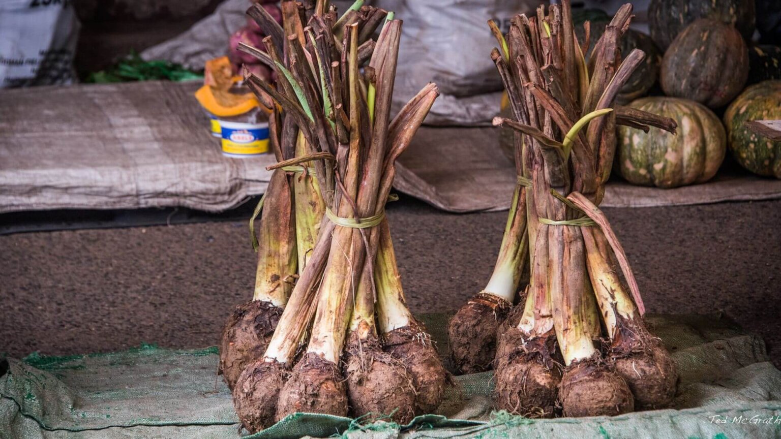 Explore Fiji Traditional Food: Culinary Delights & Culture