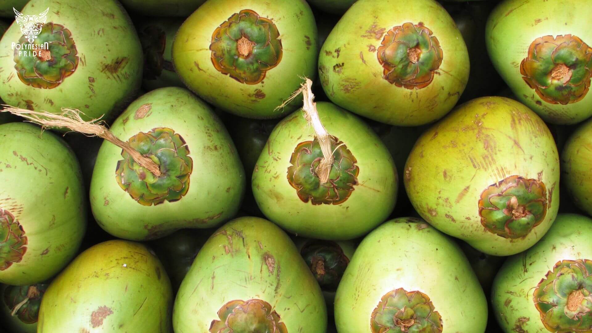 Federated States Of Micronesia Food: Top 10 Best Dishes