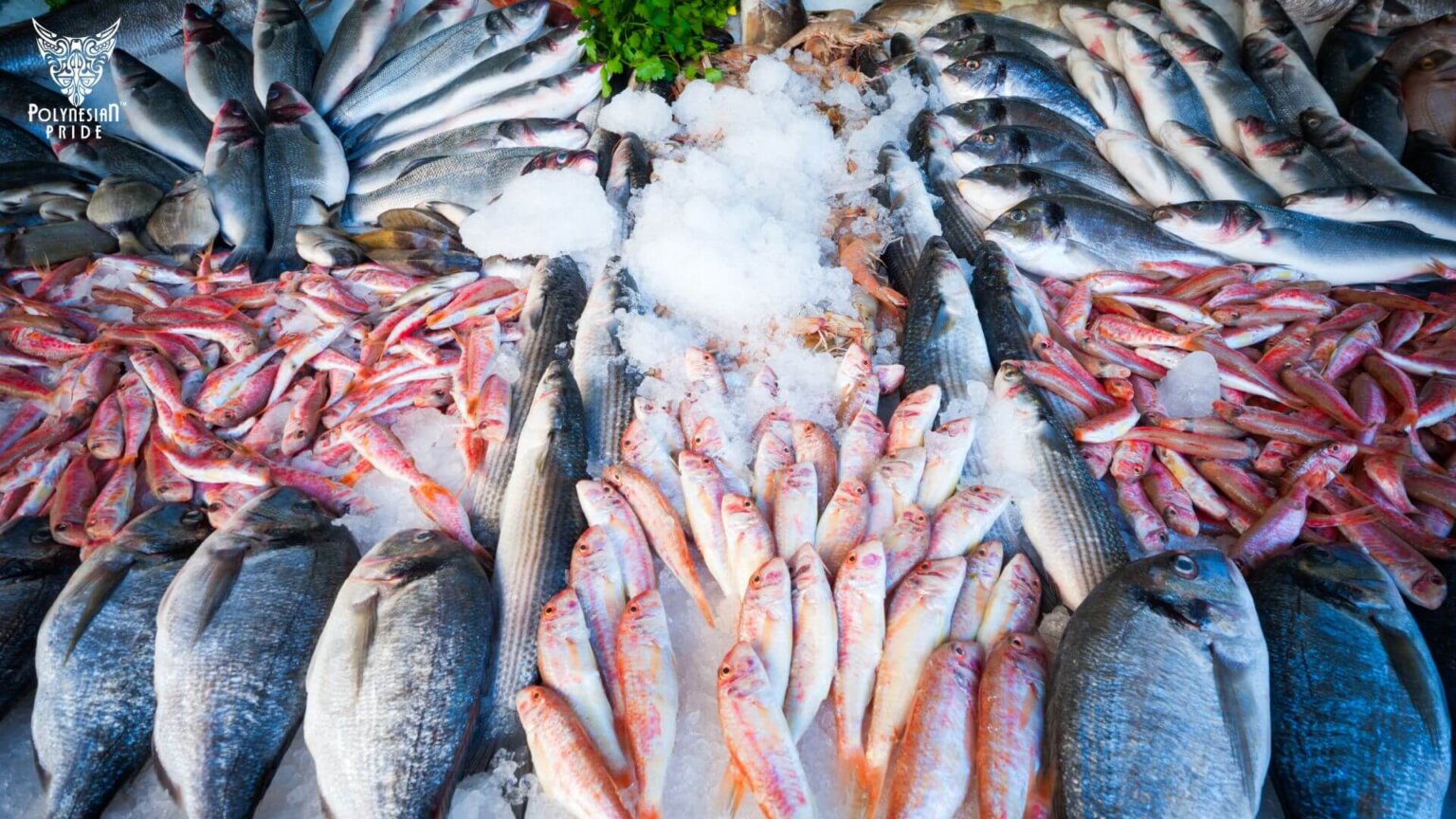 Federated States of Micronesia Food: Top 10 Best Dishes