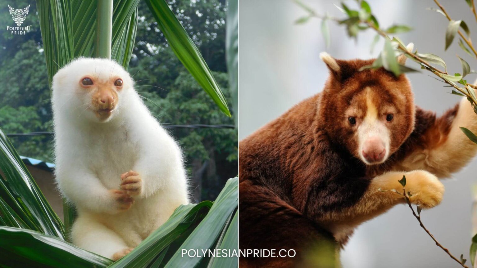 Is New Guinea The Same As Papua New Guinea? Let's Find The Truth