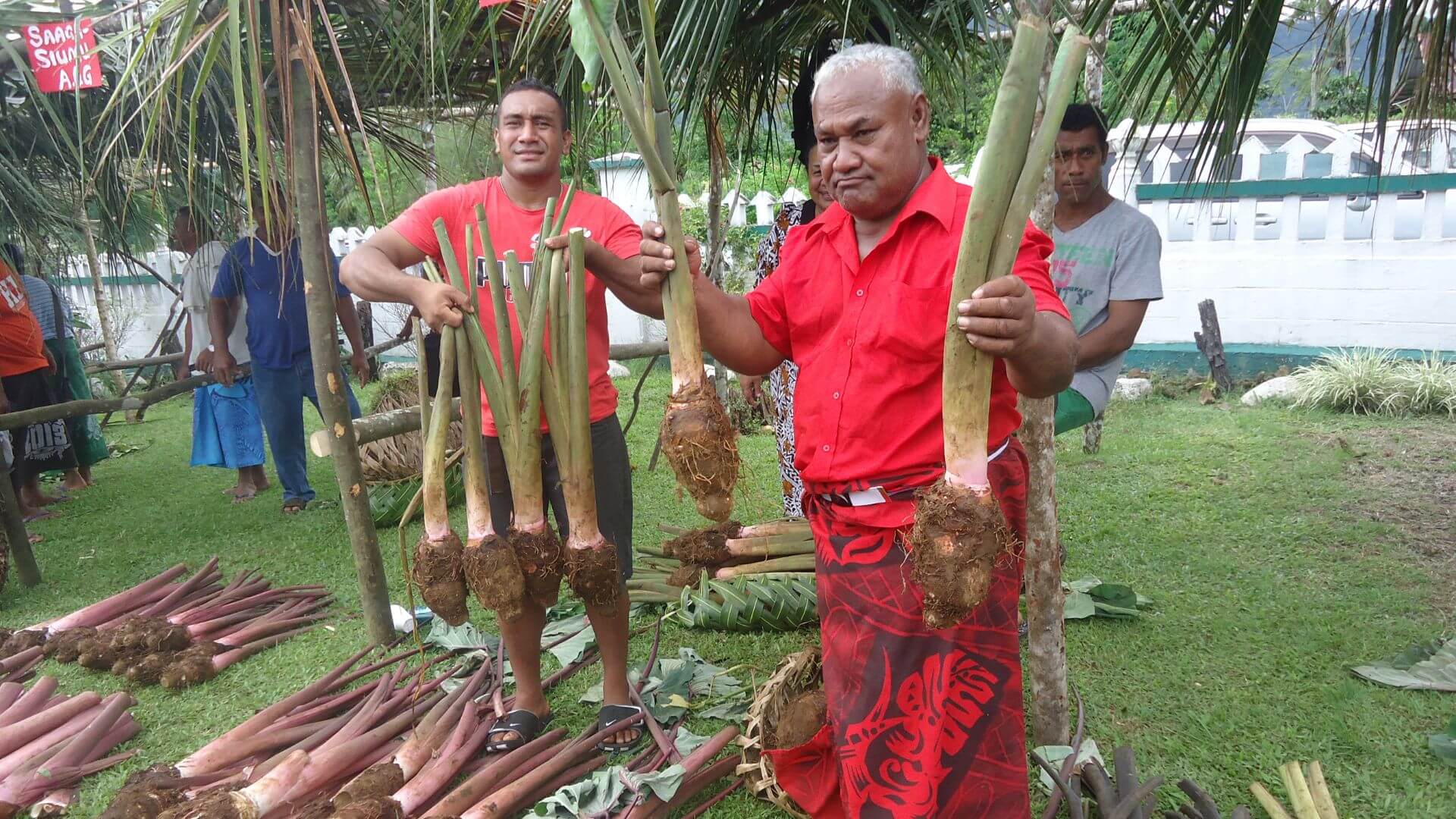 American Samoa Food: A Rich Culinary Heritage In Oceania