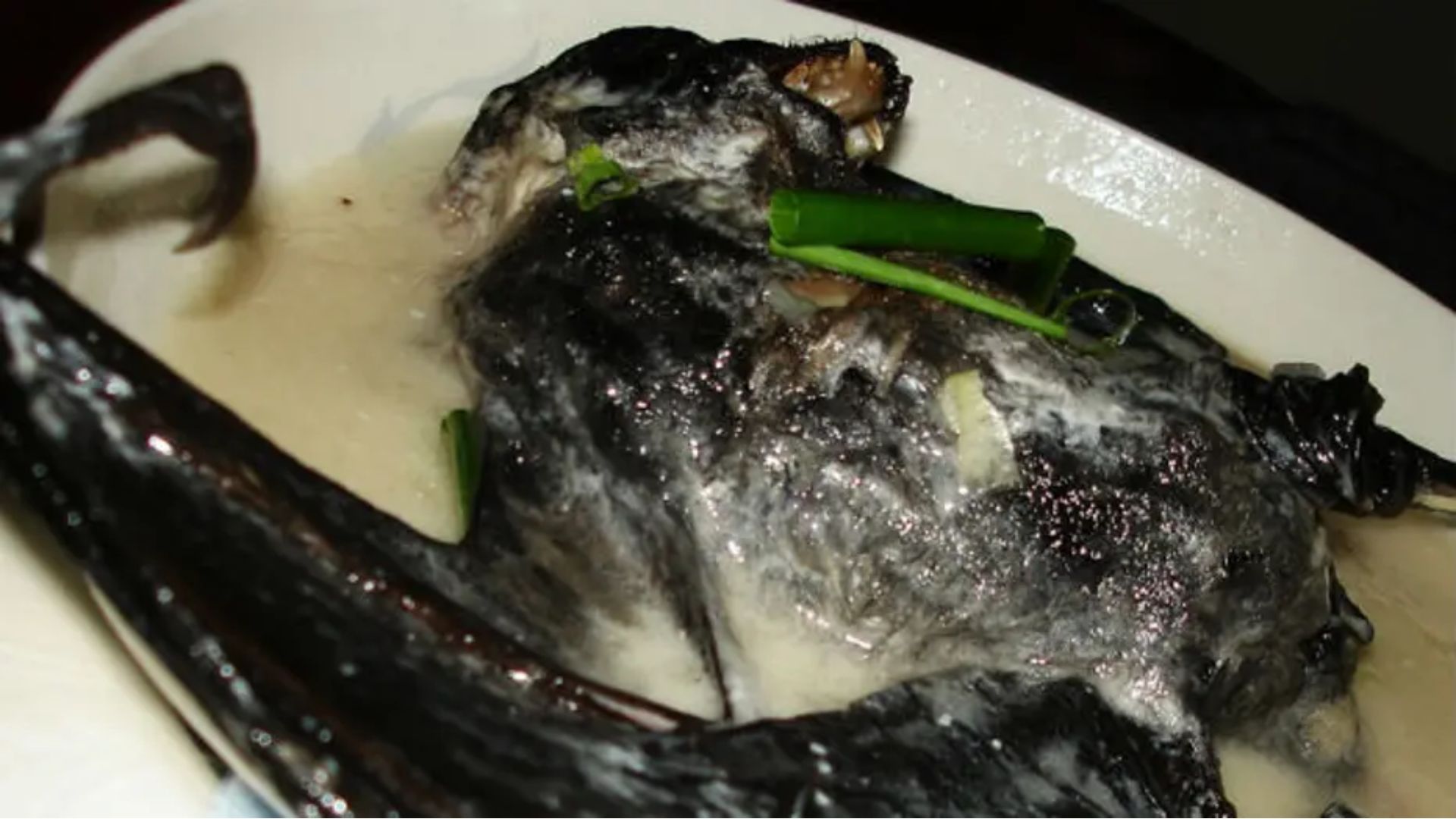 Discover the Rich Culture in Guam: Beyond The Tradition