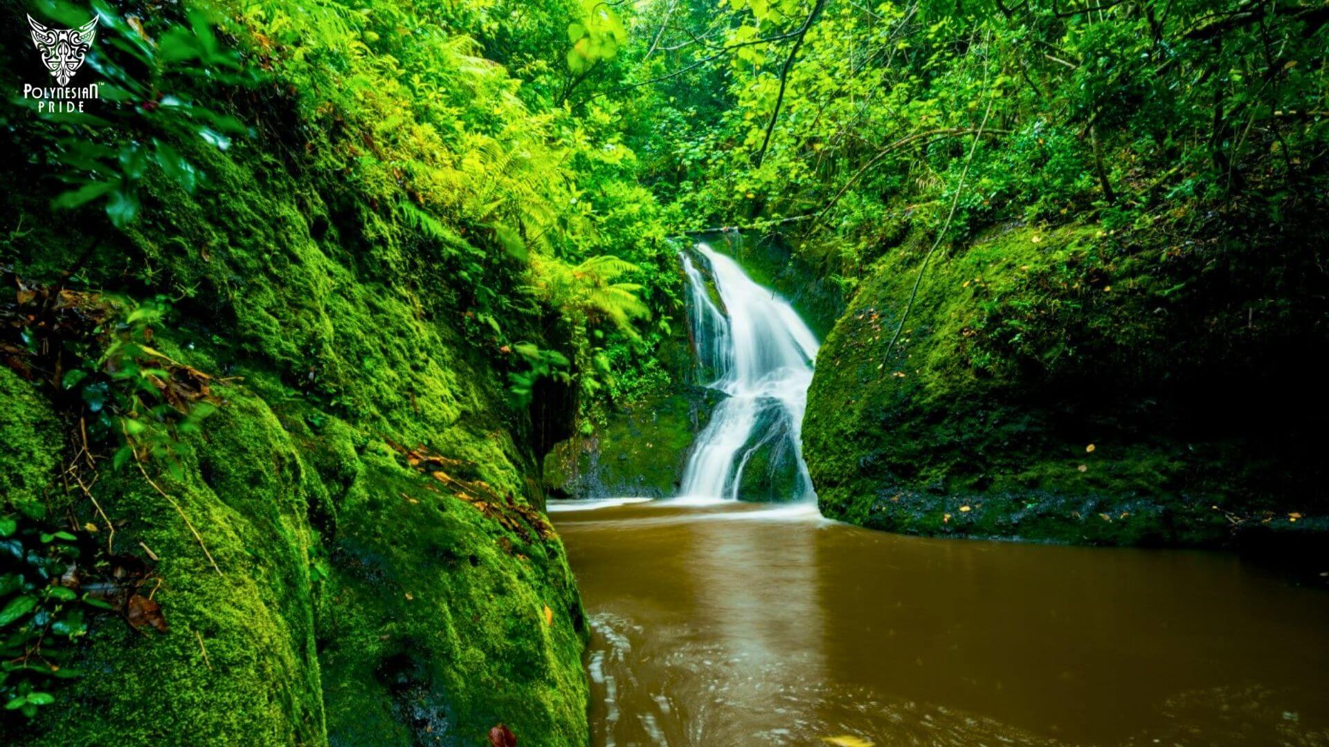 Where Is Rarotonga? Uncover the Jewel of the Cook Islands