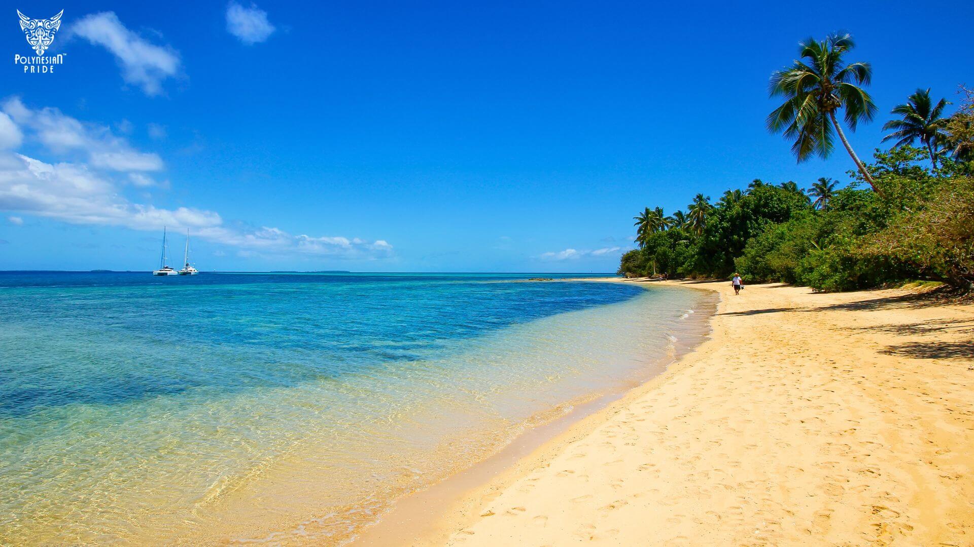 What is Tonga known for? Top 15 Reasons to Visit This Island