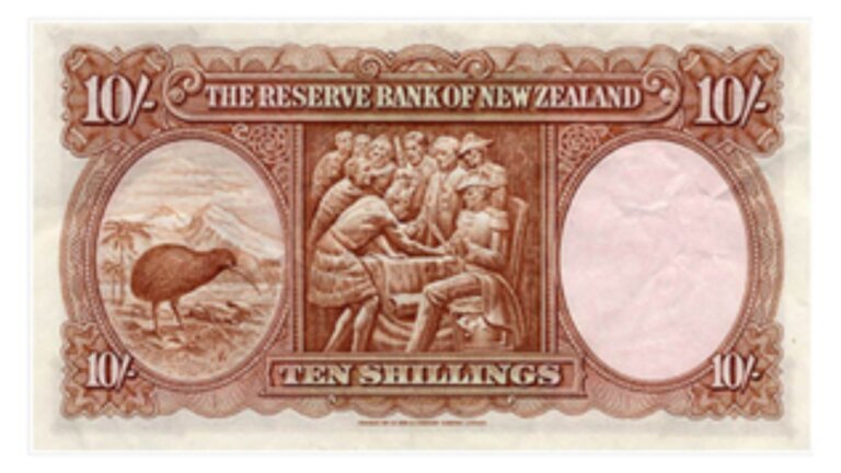 Why Are New Zealanders Called Kiwis? A Detailed Exploration ...