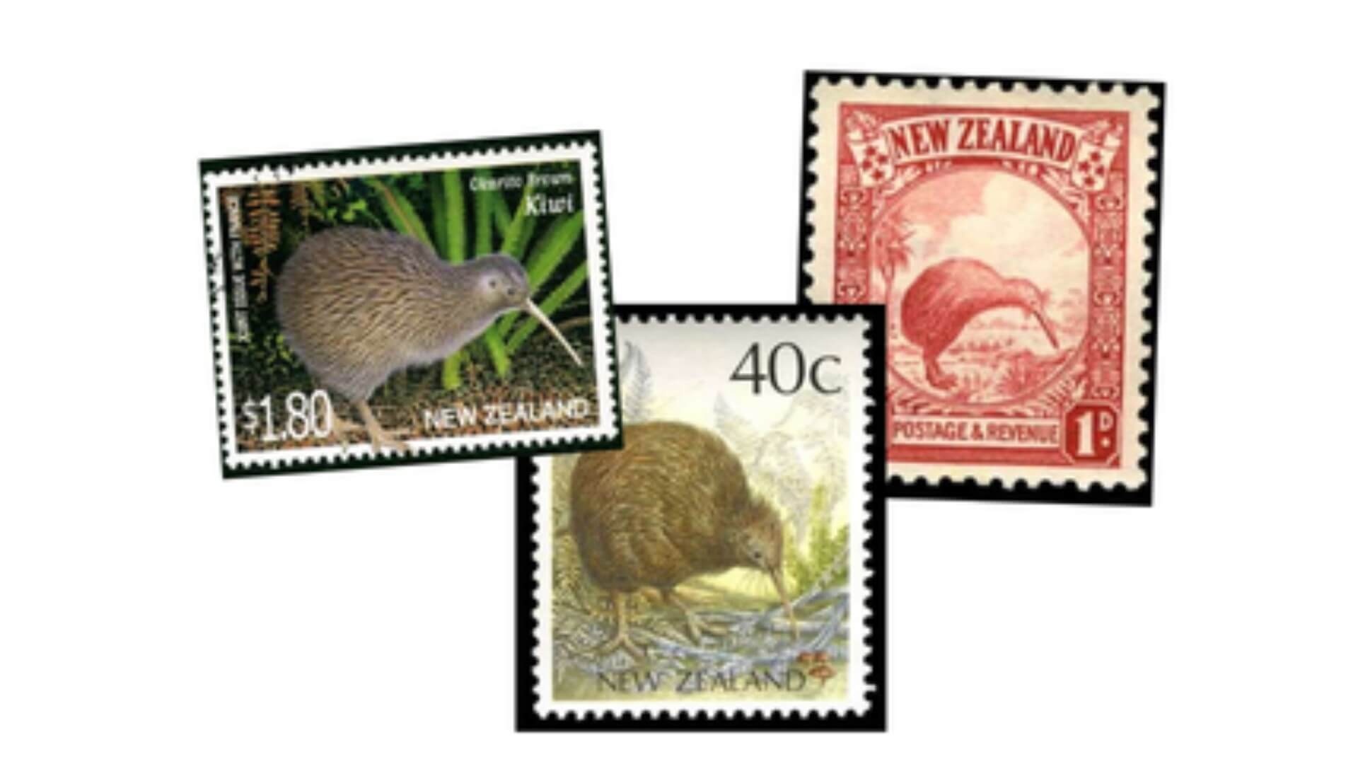 Why Are New Zealanders Called Kiwis? A Detailed Exploration ...