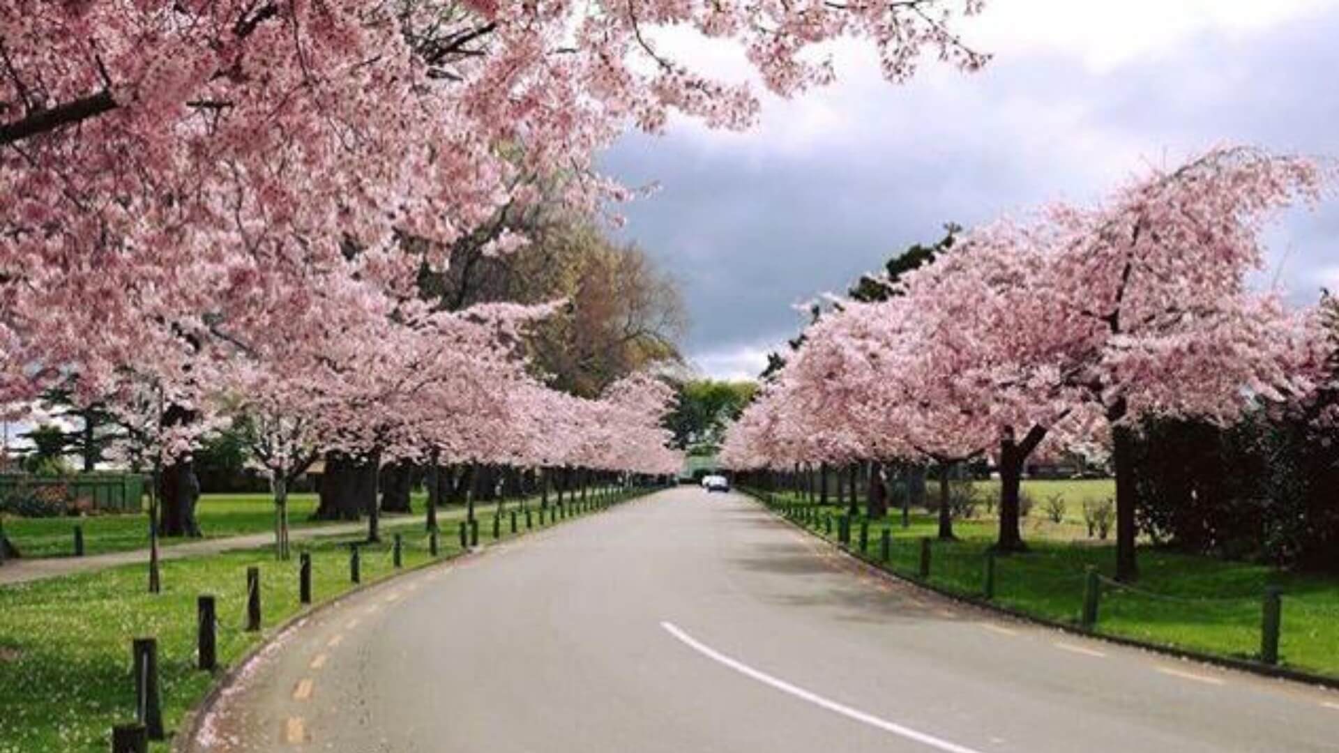 15 Best Place to Live in New Zealand for Expats and Locals - Polynesian ...