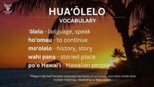 What Does Hawaiian Look Like? The Beauty Behind Their Traits
