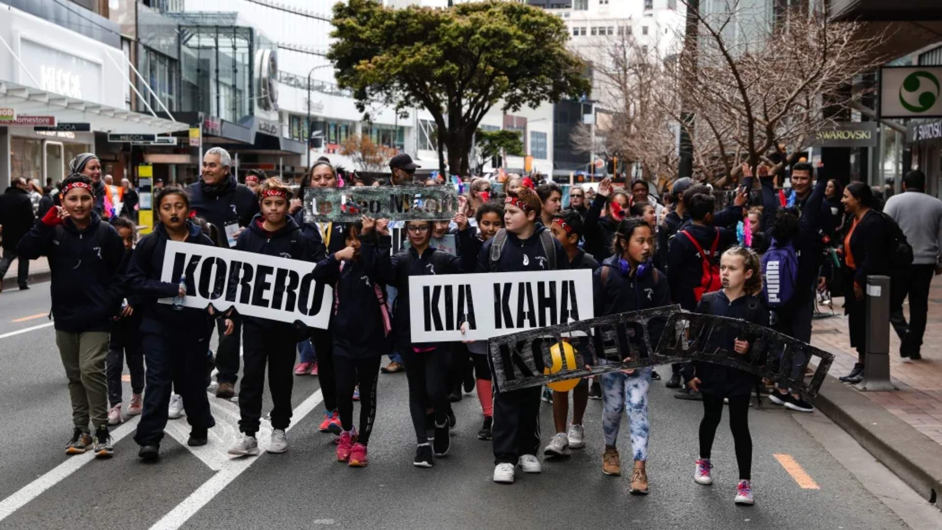 Top 10 Best Maori Cultural Festivals You Can’t Miss In 2025!