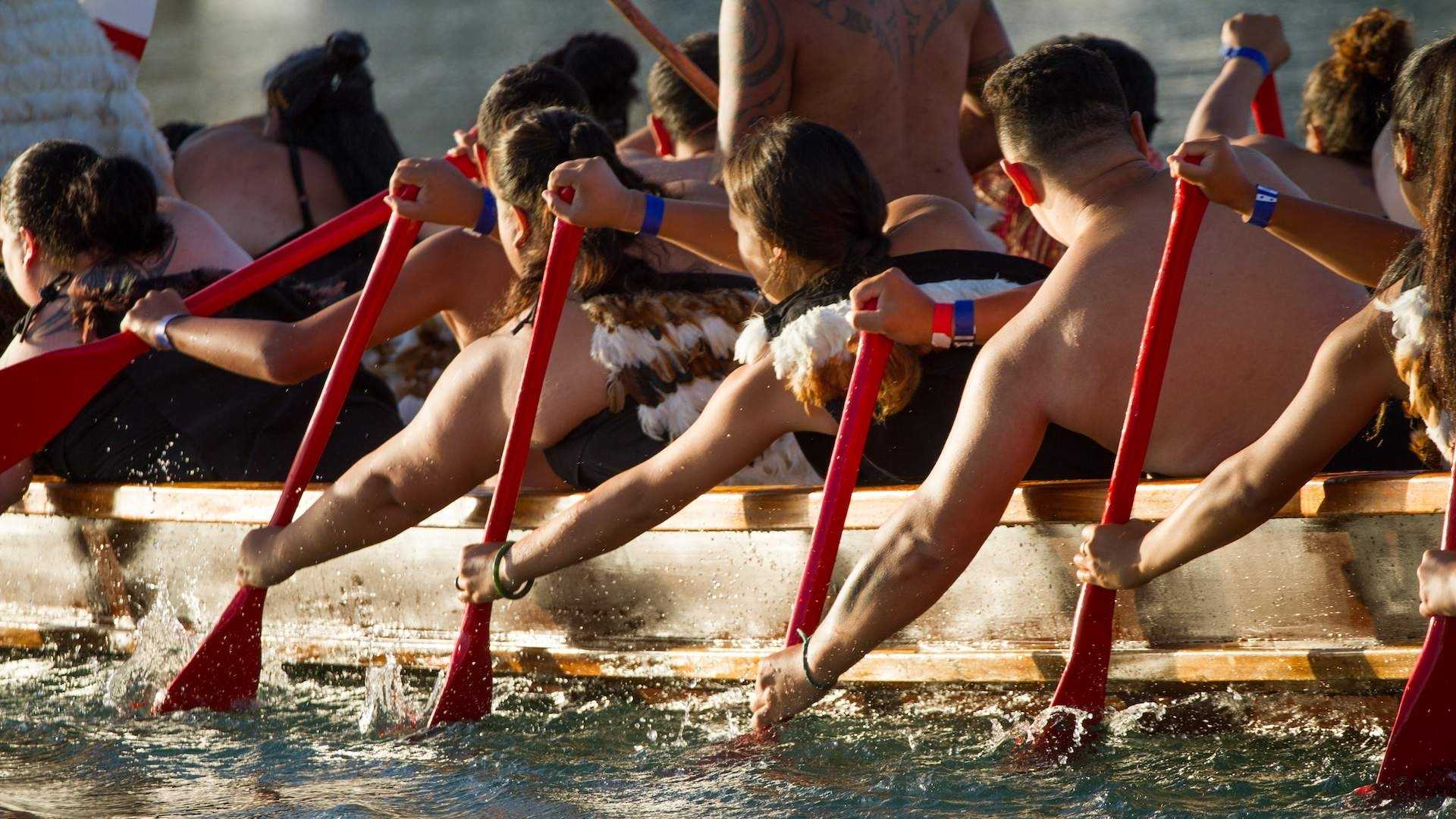 Top 10 Best Maori Cultural Festivals You Can’t Miss In 2025!