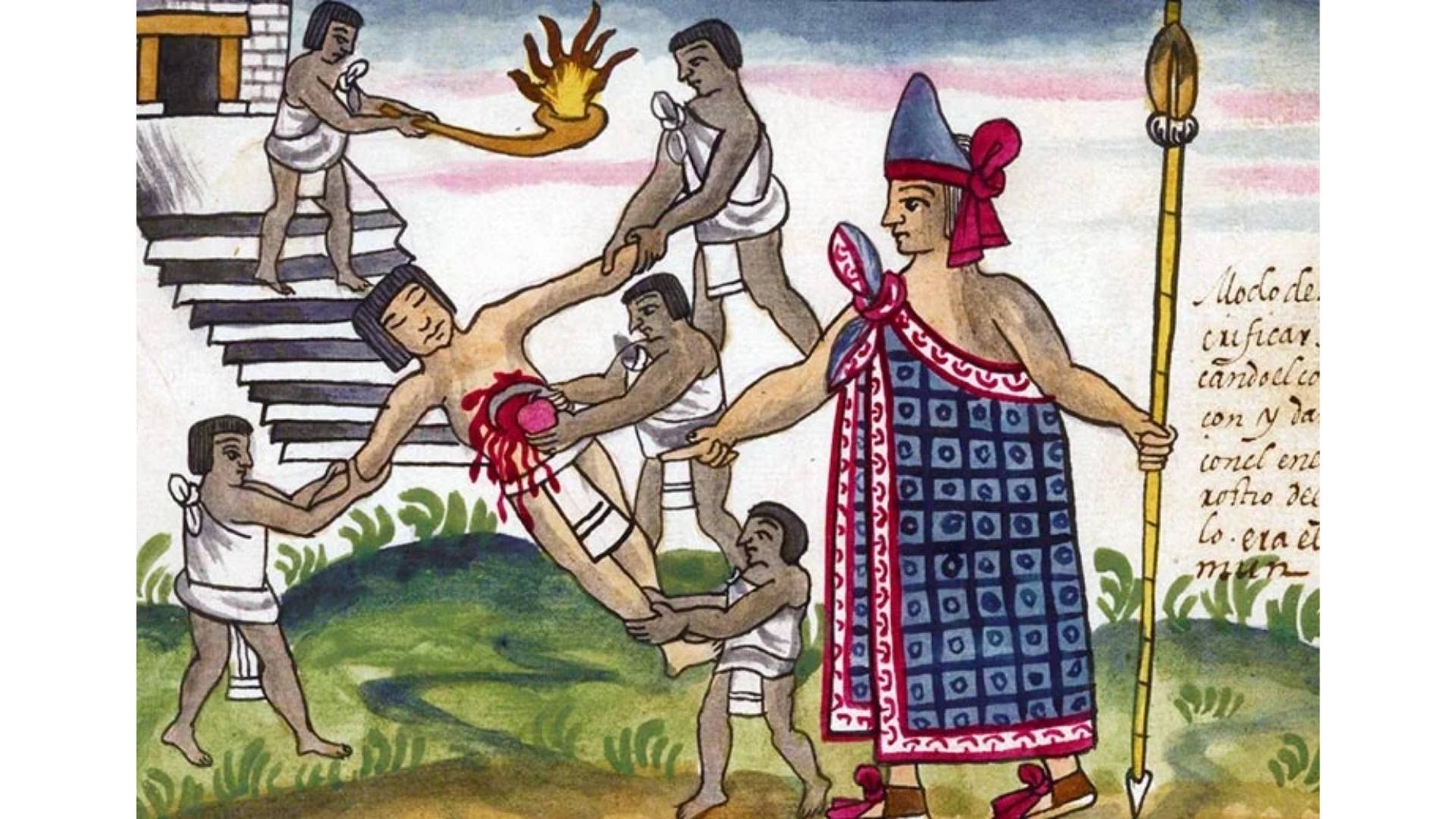 Maori People Cannibalism: The Dark History & Hidden Truths