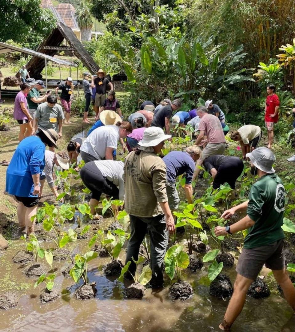 What Is Aloha Friday? Discover Hawaii’s Joyful End-of-Week!