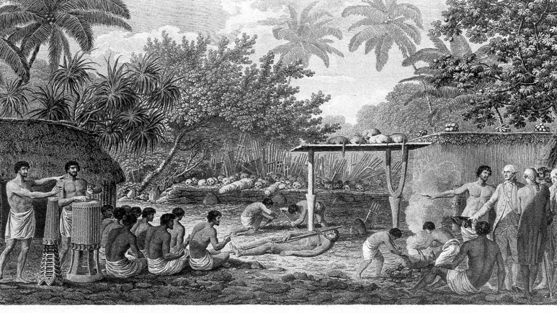 Maori People Cannibalism: The Dark History & Hidden Truths