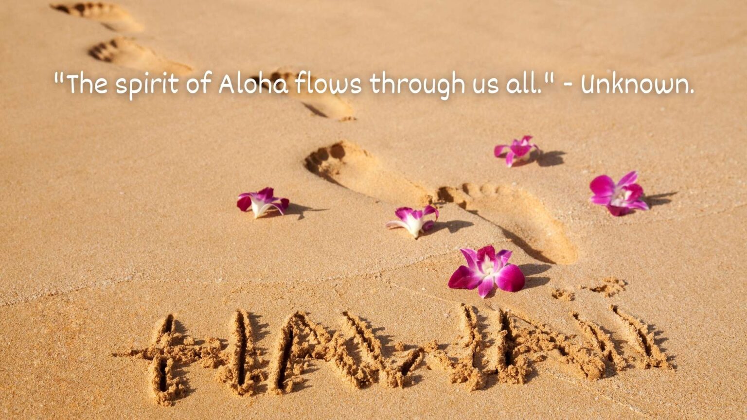 80+ Best Hawaiian Quotes That Capture The Aloha Spirit