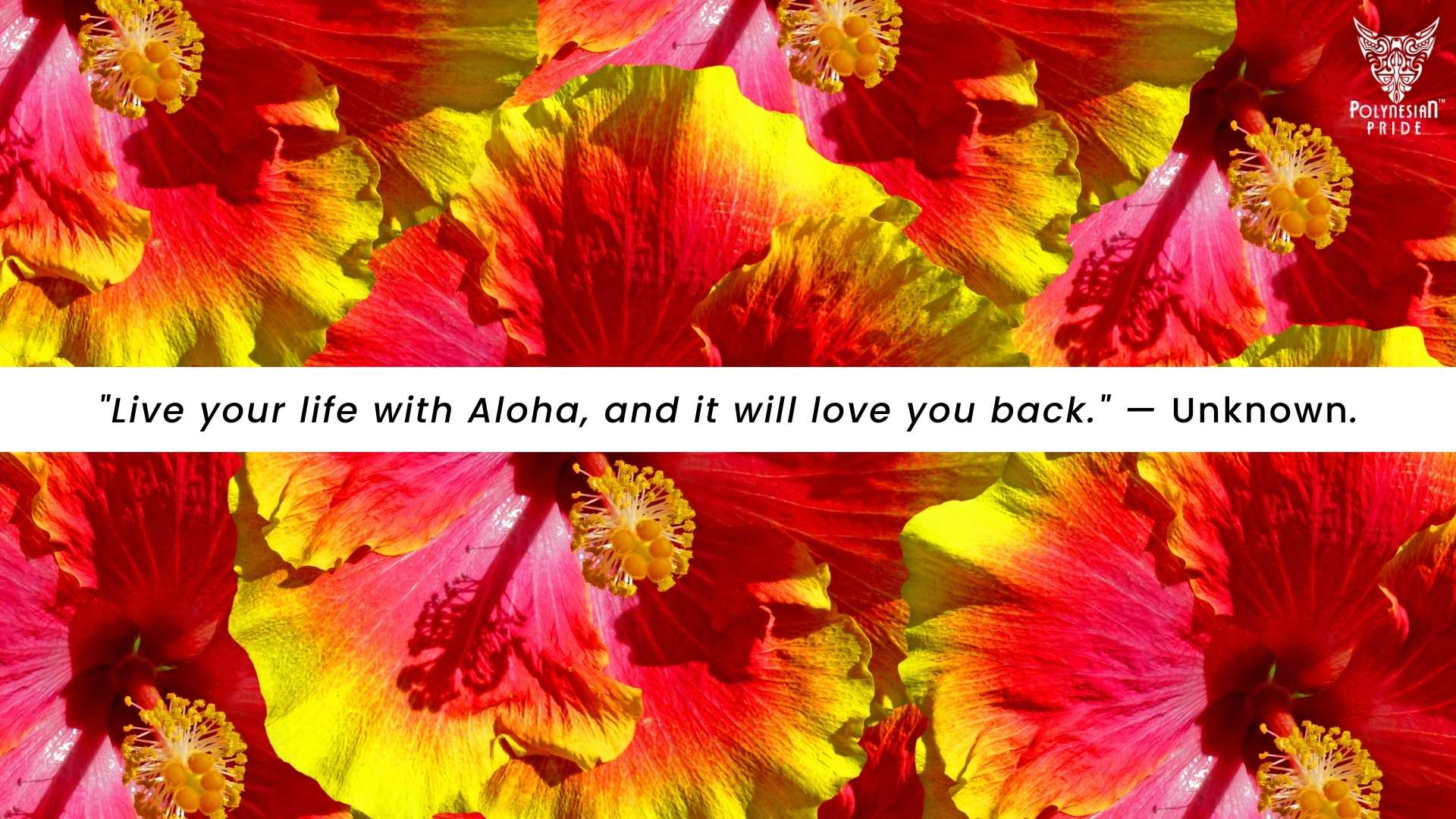 80+ Best Hawaiian Quotes That Capture The Aloha Spirit