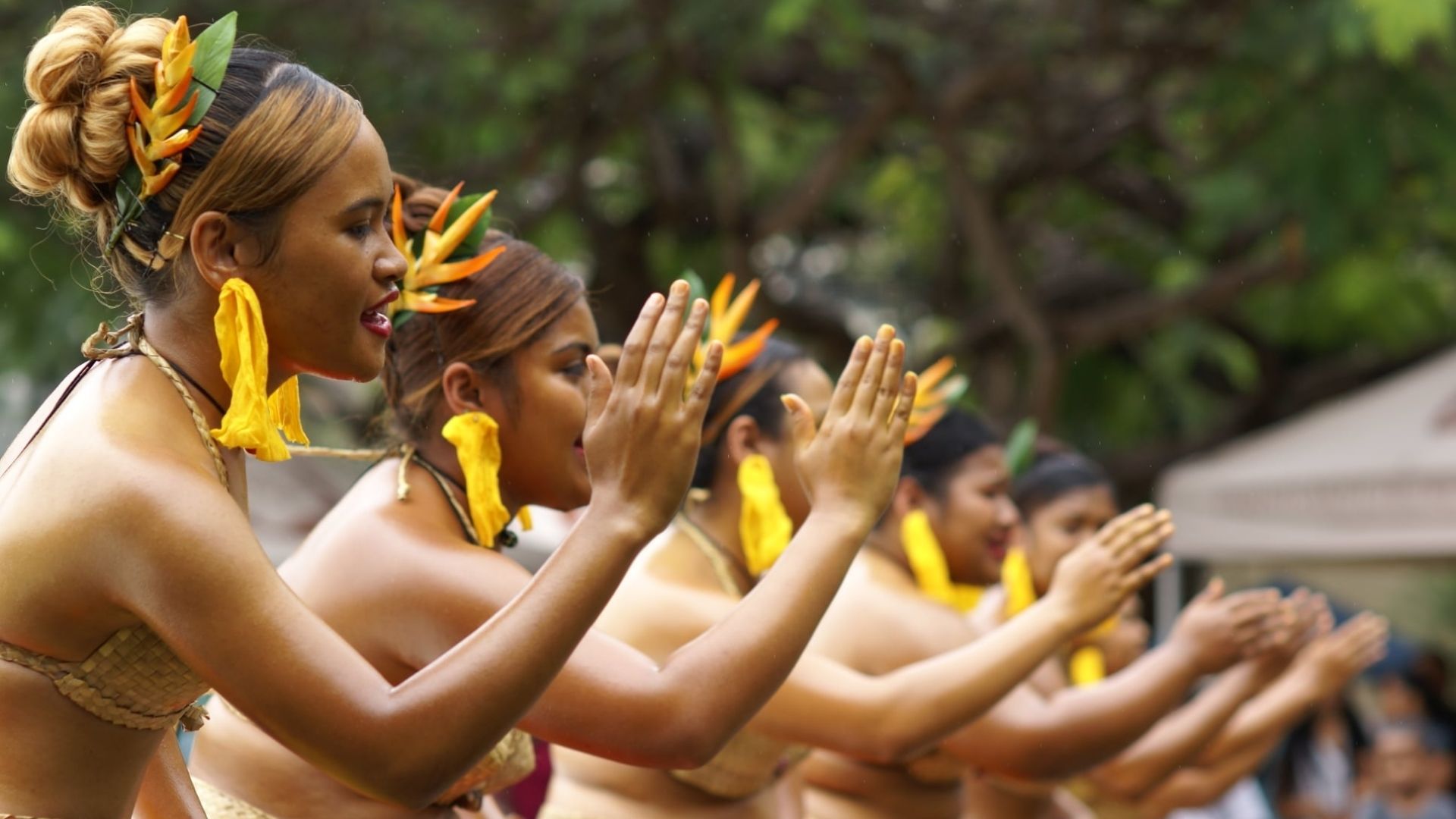 Micronesia Culture Day 2025: Many Islands, One Spirit!