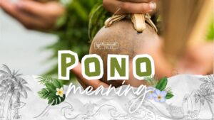 Pono Meaning: The Powerful Hawaiian Path to Balance - Polynesian Pride Blog
