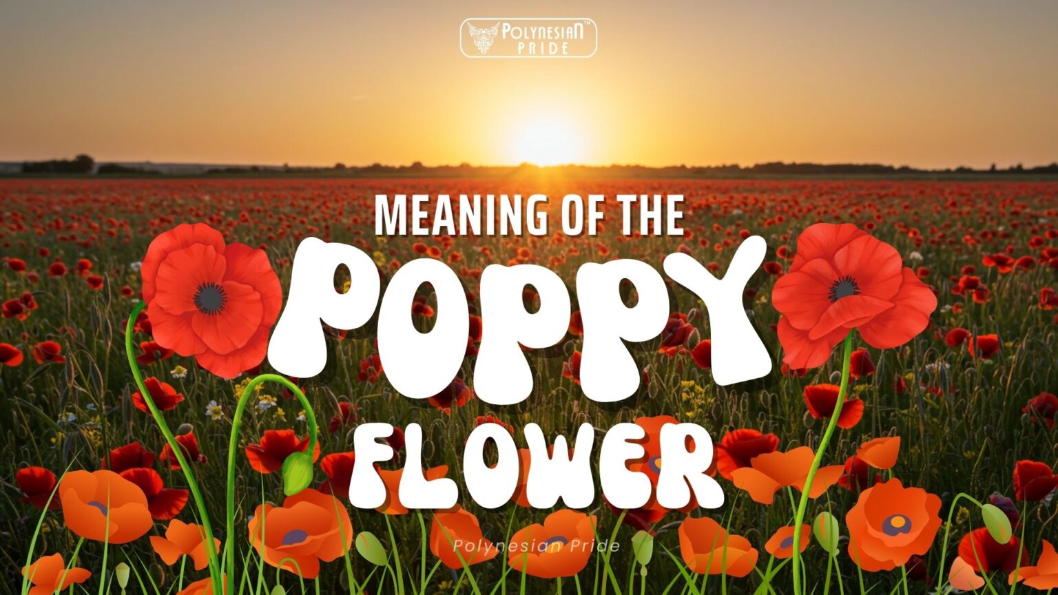 Meaning of the Poppy Flower: A Timeless Icon of Hope & Loss ...