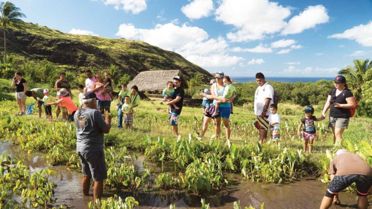 Meaning of Kokua: The Hawaiian's Generosity in Heart