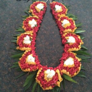 Heilala Festival in Tonga 2025: A Must-See Cultural Event